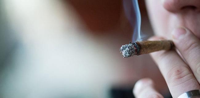 Verschillende manieren om cannabis te gebruiken - RQS Blog